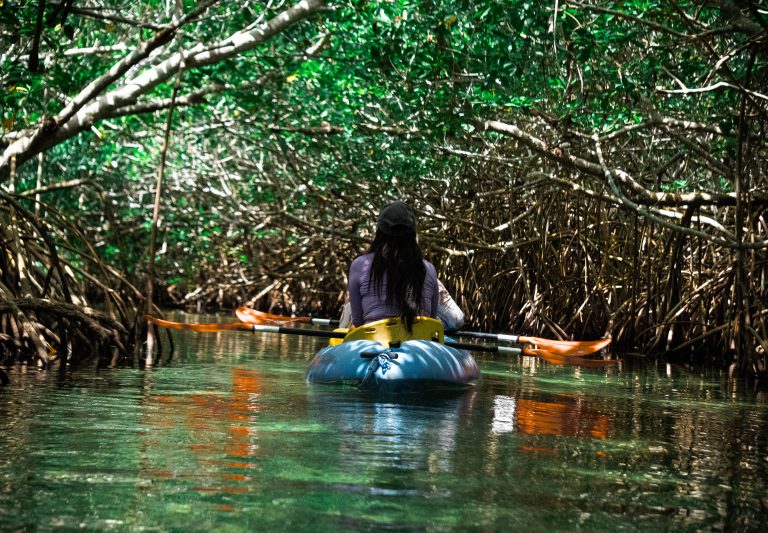 Mangrove & dunes conservation program - MARES Center