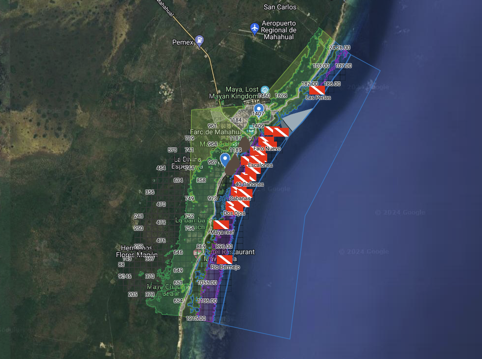Cartography program - MARES Center